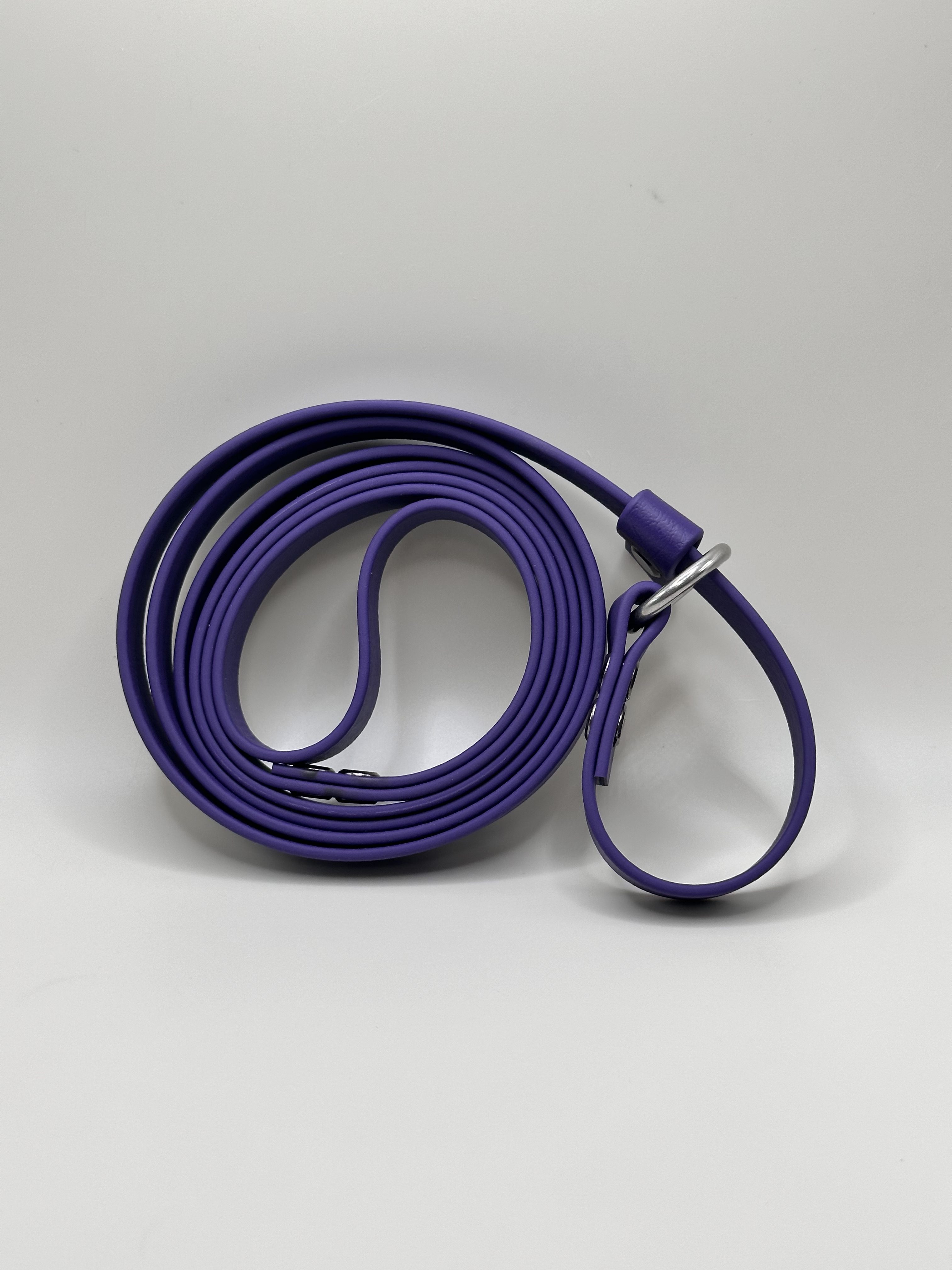 BioThane Slip Leash - CS Custom Goods & Designs